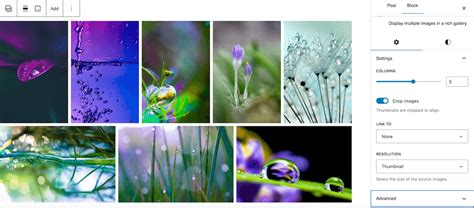 customizing your gallery block in wordpress a step by step guide