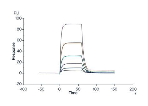 Kactus Mhc Monomer And Tetramer Product Validation Data Caltag Medsystems