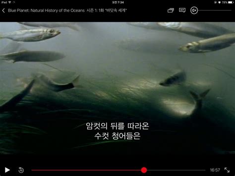 실존하는 정액 바다ㄷㄷ 유머 움짤 이슈 에펨코리아