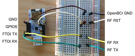 Cyton Radios Programming Tutorial OpenBCI Documentation