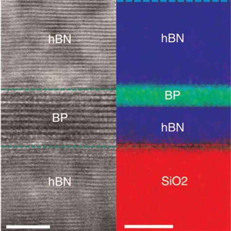 The Cross Section Hr Tem Image Of The Hbn Bp Hbn Structure The Right