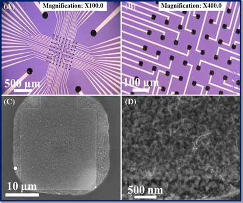 Optical Images Showing Fabricated Au Meas With Microelectrodes