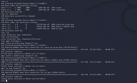 Github Riyyoo Tryhackme Lian Yu Walkthrough A Beginner Level Security Challenge