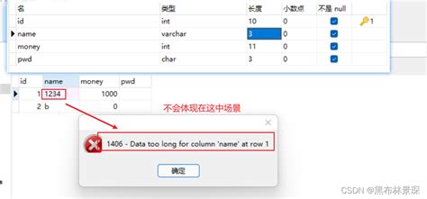 11月18日下午：mysql数据属性 Csdn博客
