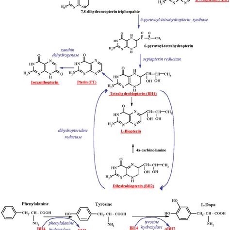 Schematic Diagram Of A Semiautomated Two Dimensional Hplc System To Download Scientific Diagram