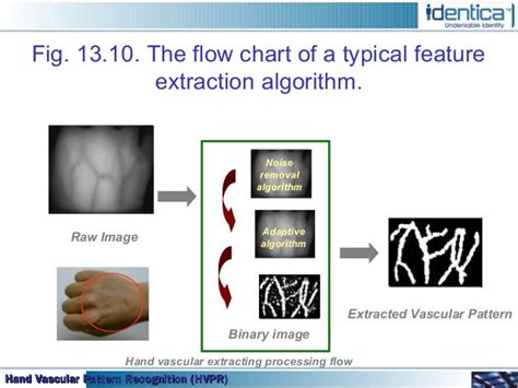 Pattern Recognition Hand Vascular Pattern Recognition