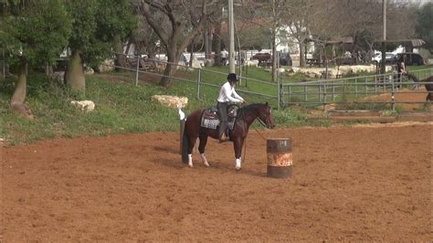 Ariel Nakash With Show Me The Boogie 6108 New Rookie 18 Haniel