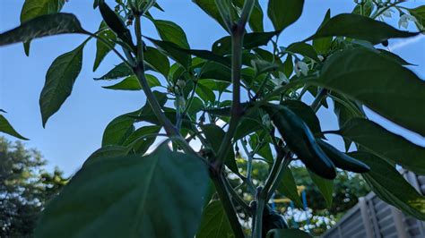 決算予測は【freeeからエクスポート】→【excel推移表】を活用しよう！ Tsurus Blog｜融資・資金繰りに強い大分県の税理士