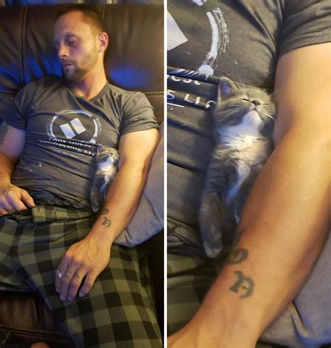Man And Kitten Taking A Cat Nap Sleeping Kitten Cat Sleeping Cat Nap