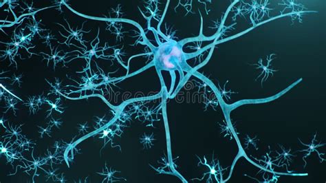 Animation Neurons In The Brain Synapse And Neuron Cells Sending Electrical Chemical Signals