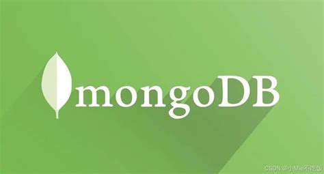 零基础 Mongodb 快速安装并图解教程全网最详细mongodb安装教程图解 Csdn博客