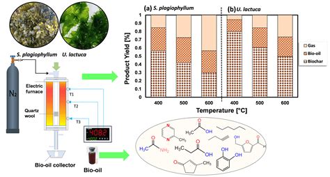 Jrm Sustainable Biofuel Production From Brown And Green Macroalgae