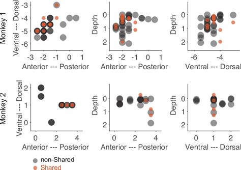 Non Shared Coding Of Observed And Executed Actions Prevails In Macaque Ventral Premotor Mirror