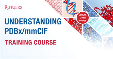 Pdb 101 Use Pdb Data To Their Full Extent Understanding Pdbx Mmcif