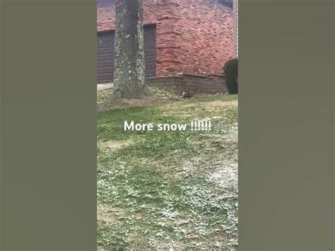 More Snow Yay Youtube