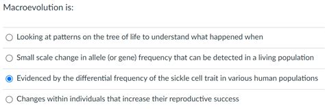 Solved Macroevolution Is Looking At Patterns On The Tree Of
