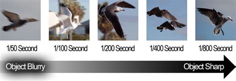 How To Shoot In Manual Mode Finally Learn How To Really Use Your By