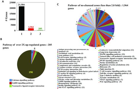 Gene Microarray And Pathway Analyses A Microarray Results B Download Scientific Diagram