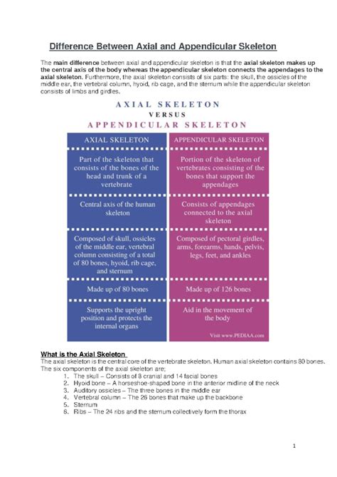 Axial Vs Appendicular Skeleton Difference Between Axial And Appendicular Skeleton The Main