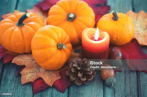 조명된 배경에 호박과 인사말 카드와 소박한 나무 테이블이 있는 추수감사절 장식 0명에 대한 스톡 사진 및 기타 이미지 0명 10월 11월 Istock