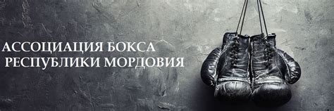 РФСОО Ассоциация бокса Республики Мордовия 2025 ВКонтакте