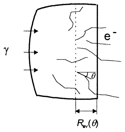 Schematic Diagram To Explain The Se Forward Yield Download