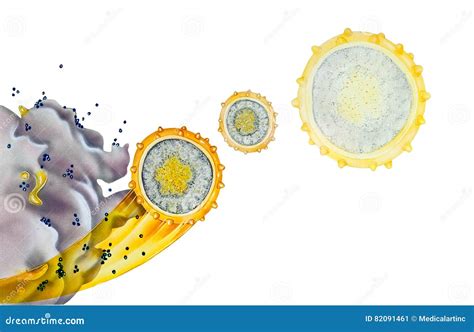 Hiv Treatment With Protease Inhibitors Stock Illustration