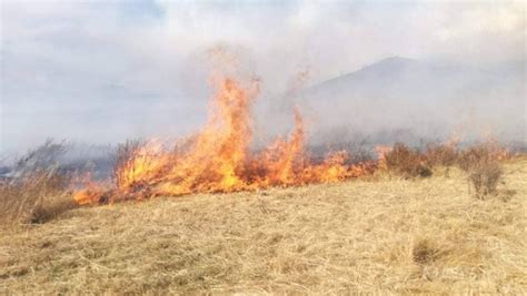 Завхан аймагт гарсан түймрийн улмаас 7600 гаруй га талбай шатаад байна