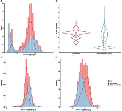 structure features of protein coding genes in c betulinus a