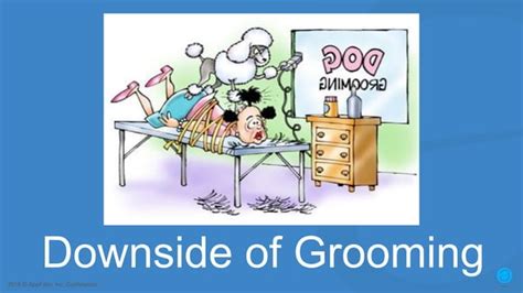 agile qa and test a shift in mindset from finding to preventing bugs pdf