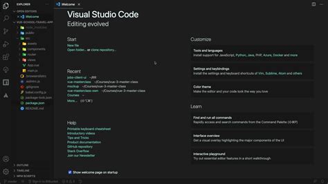 The Scaffolded Codebase Vue Cli Only