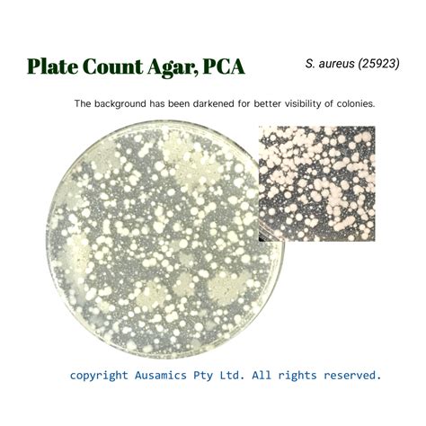 Plate Count Agar Ausamics