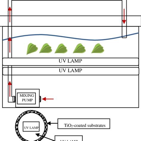 Schematic Of Reaction System Of Tio2 Coated Substrate Combined With