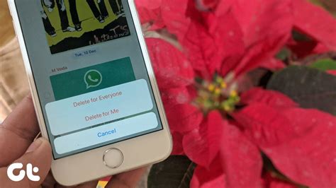 Why Cant I Delete Whatsapp Messages For Everyone