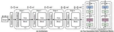 Swin Transformer图像处理深度学习模型python脚本之家