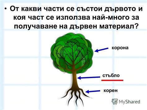 Презентация на тему СВОЙСТВА И ПРИЛОЖЕНИЕ НА МАТЕРИАЛИТЕ В БИТА 5 клас Презентация по
