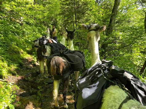 The Long Route To Leconte