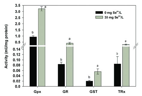 Effect Of Selenium On The Activity Of Antioxidant Enzymes In Yeast