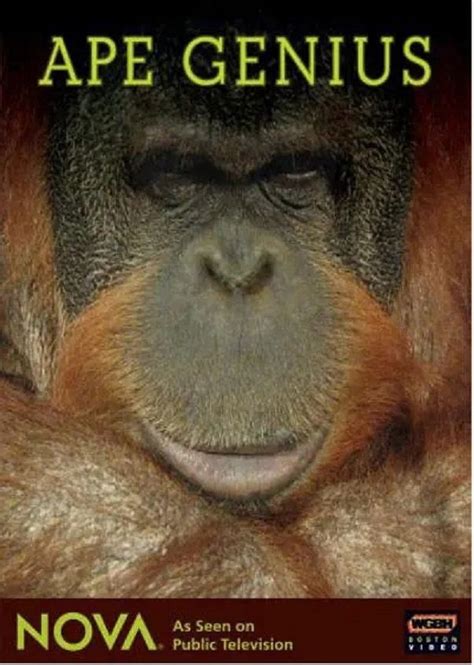 Ape Genius 2010 Posters — The Movie Database Tmdb