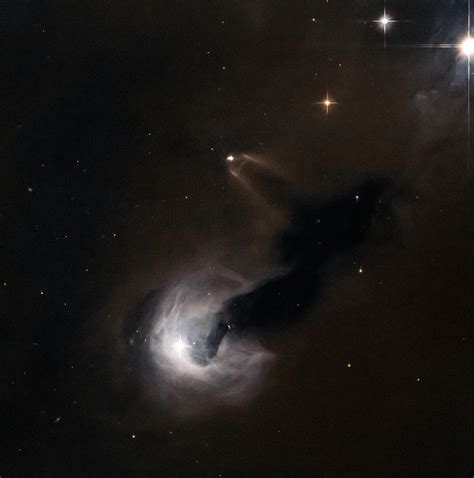 Young Stellar Object And Reflection Photograph By Science Source