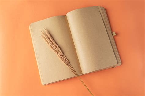 빈 오픈 다이어리 가을 잔디 편지 소원 목표 계획 삶의 이야기를 쓰는 개념 가을 구성 허브리움 0명에 대한 스톡 사진 및 기타 이미지 Istock