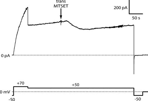 Effect Of Trans Mtset On The Macroscopic Current Through Colicin Ia Download Scientific Diagram