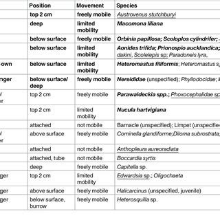 Species And Functional Group Assignment Each Species Was Assigned To A Download Table