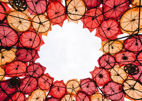 Governors Island Pavilions To Be Recycled For People And Oysters