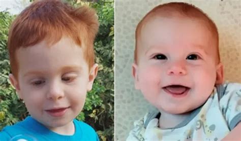 דרושים מתנדבים לקטיף בפרדסים של משפחת ביבס מלאבס פתח תקווה