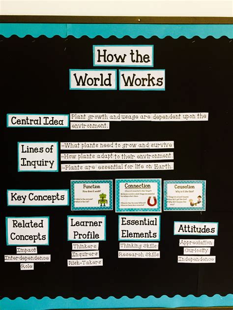 Learner Profile And Ib Pyp Attitudes Goal Setting And Reflection Artofit