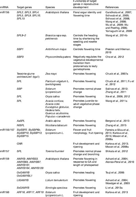 Table From Next Generation Sequencing Sheds New Light On Small RNAs In Plant Reproductive