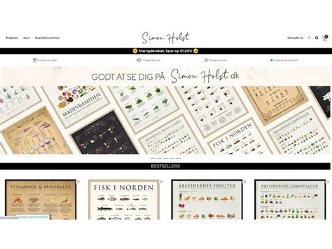 web development freelancer