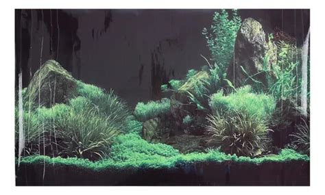 Póster Submarino Con Fondo De Acuario De Coral Para Pared Meses Sin