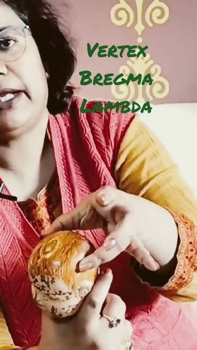 Vertex Bregma Lambda Obstetricsandgynecology Vivaquestions Mbbs